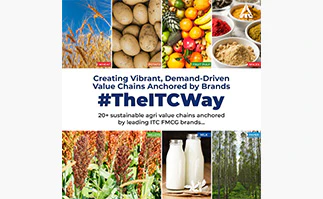 Everyday Stories from ITC