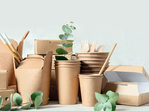 Paperboards & Specialty Papers