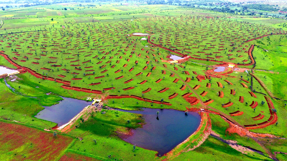 Sustainability at ITC
