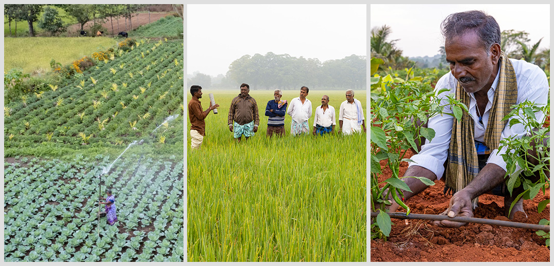 Climate Smart Agriculture Climate Smart Agriculture